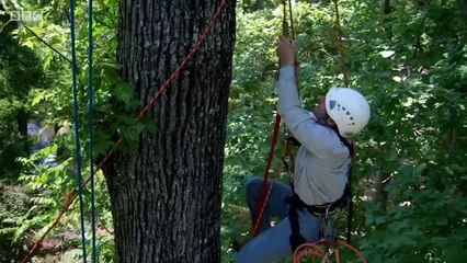 How Earth Made Us by saniru wick - Dailymotion