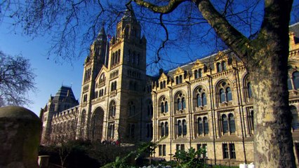 BBC - Rise of Animals: Triumph of the Vertebrates de Vivian Nogueira ...