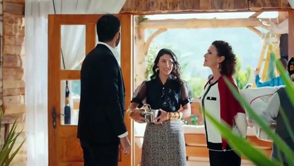 P//Ver de null null - Dailymotion