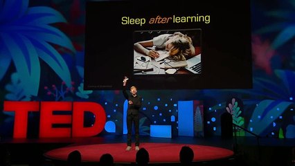 TED Talk by Tulsa King Capo - Dailymotion