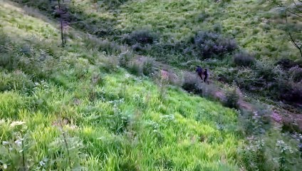 Kinnporche by Jackie Lei - Dailymotion