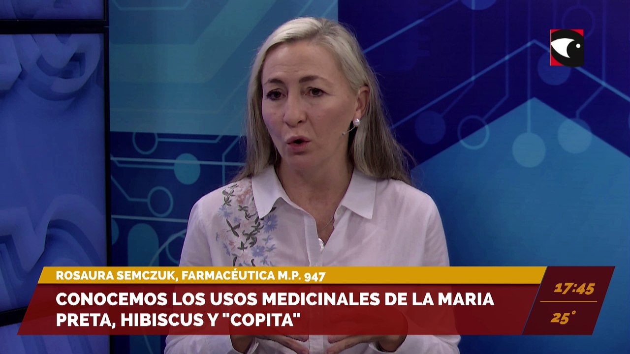 CONOCEMOS LOS USOS MEDICINALES DE LA MARIA PRETA, HIBISCUS Y "COPITA ...