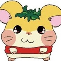 Kristopher Walker videos - Dailymotion