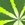 How To Top Marijuana Plants - Topping Marijuana Plants 101 - video ...