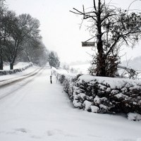 Russell Stidham videos - Dailymotion