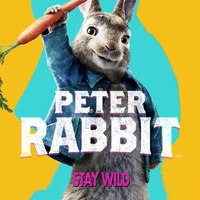 Watch Peter Rabbit Full Movie - (Free Download) HD videos - Dailymotion