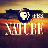 PBS Nature videos - Dailymotion