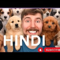 Mr Beast 3.0 Hindi videos - Dailymotion