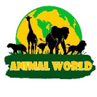 Animal World videos - Dailymotion