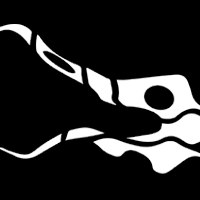 Seagull Anatomy videos - Dailymotion