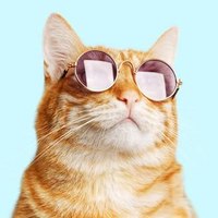 Funcho shorts videos - Dailymotion