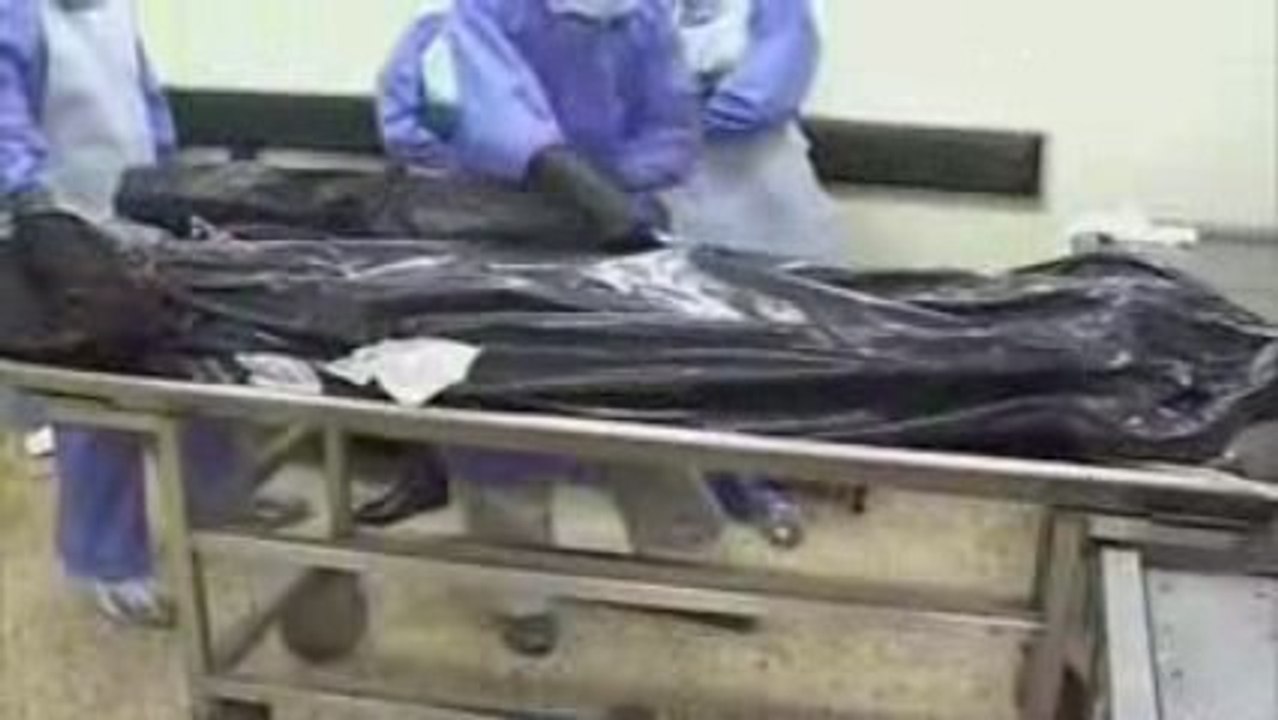Autopsia forense - Vídeo Dailymotion