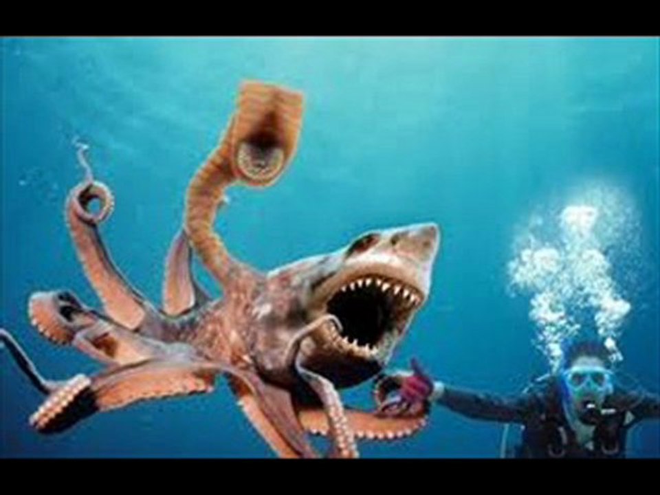 Sharktopus Movie Trailers HD - Dailymotion Video