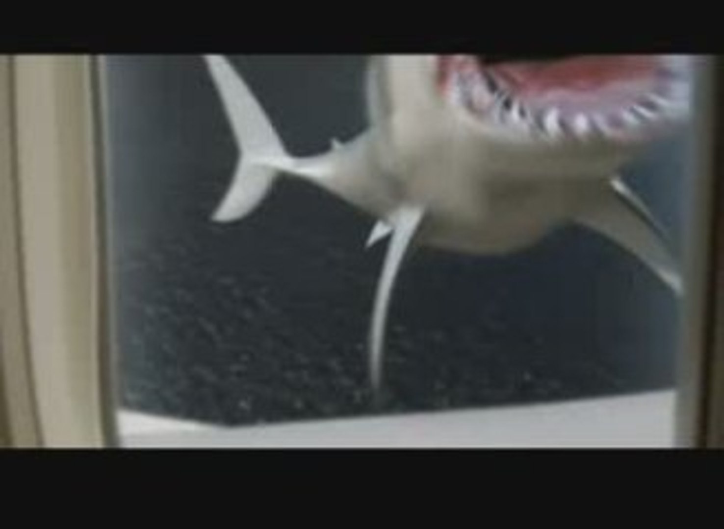 Mega Shark Vs Giant Octopus Plane Scene