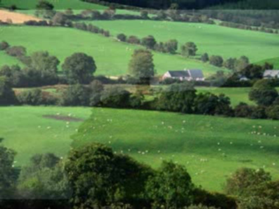 You're innocent when you dream-video by Joe Guse - video Dailymotion