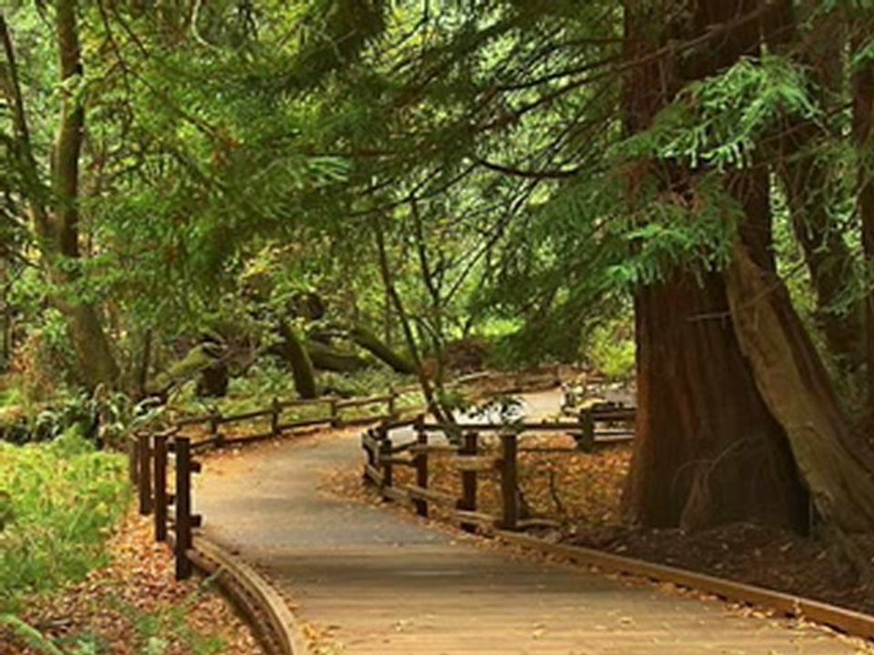 H.H. Munro (Saki) Gabriel-Ernest -short story - video Dailymotion