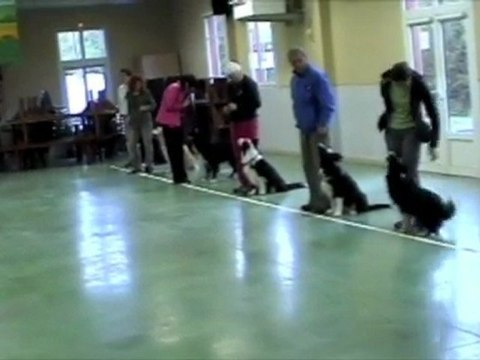 Vidéos de Catherine Collignon - Dailymotion