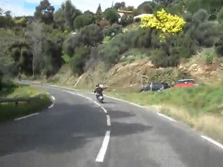 Vidéos de Thomas Netter - Dailymotion