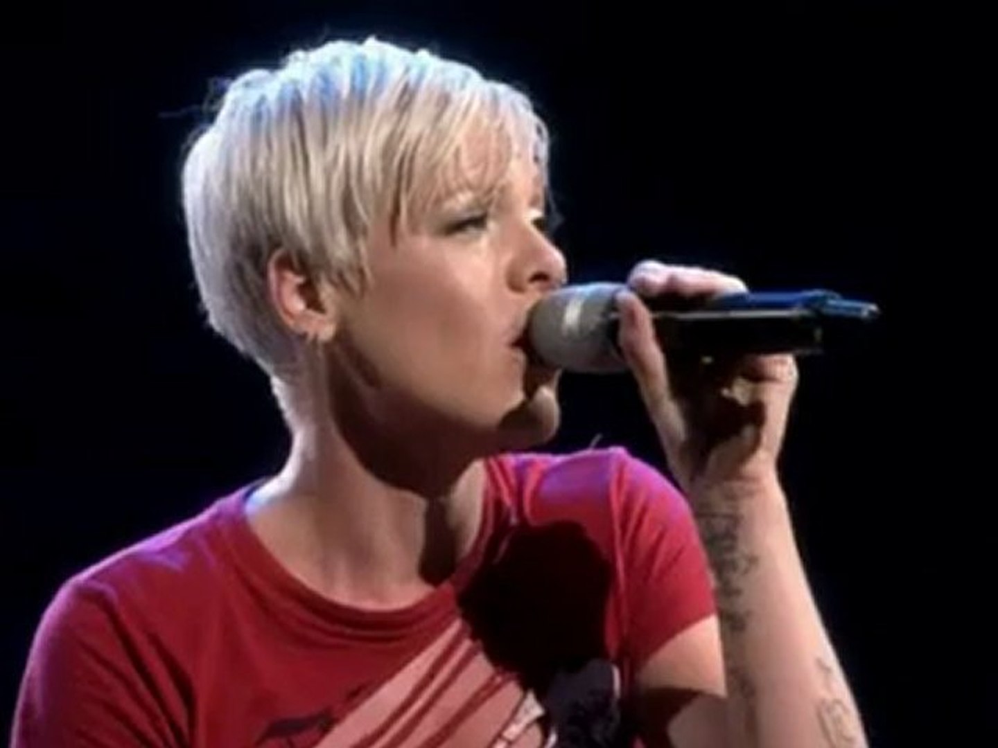 Pink The Singer Funhouse