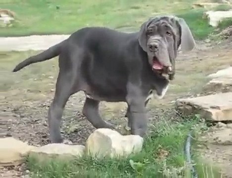 Vidéos de kalachman - Dailymotion