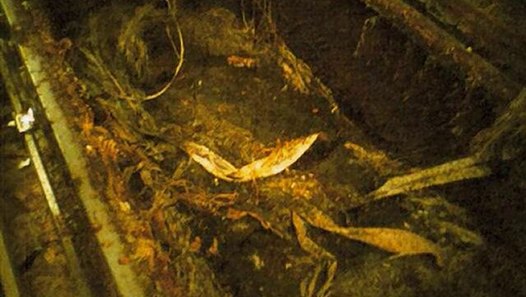 Decomposition of the human body in a casket - video dailymotion