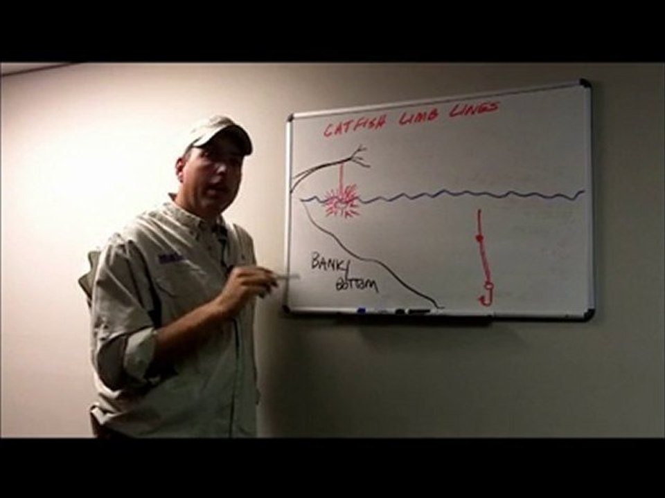 How To Catfish With Limb Lines - Learn To Catch Catfish - video Dailymotion