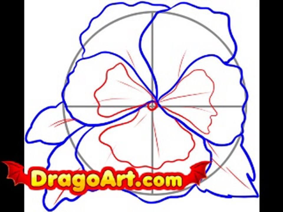How to draw a pansy, step by step - video Dailymotion