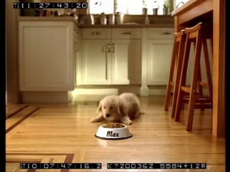 Purina Dog Chow Commercial: Outtakes with Max the Dog - video Dailymotion
