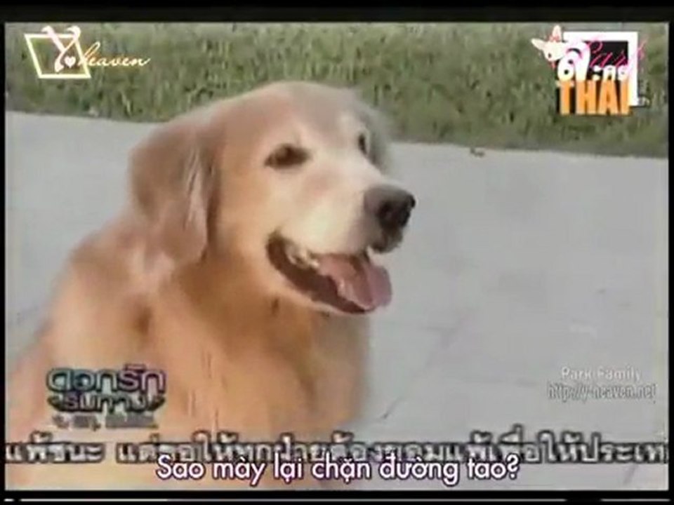 [Y-heaven.net] Dok Ruk Rim Tang Ep1_clip2 - video Dailymotion