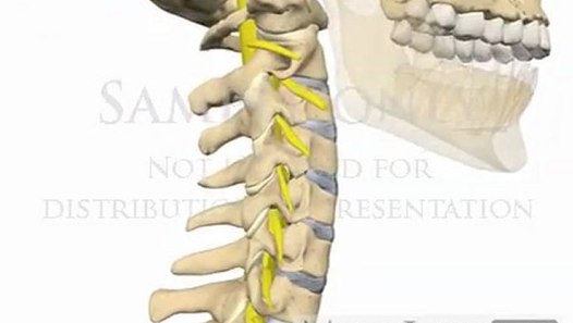 Cervical Spine Movement Rotation Extension rheumatology multimedia ...