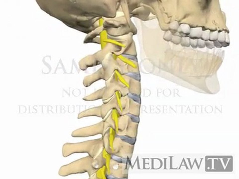 Cervical Spine Movement Rotation Extension rheumatology multimedia ...