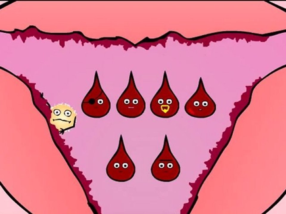 Menstruation Animation - video Dailymotion