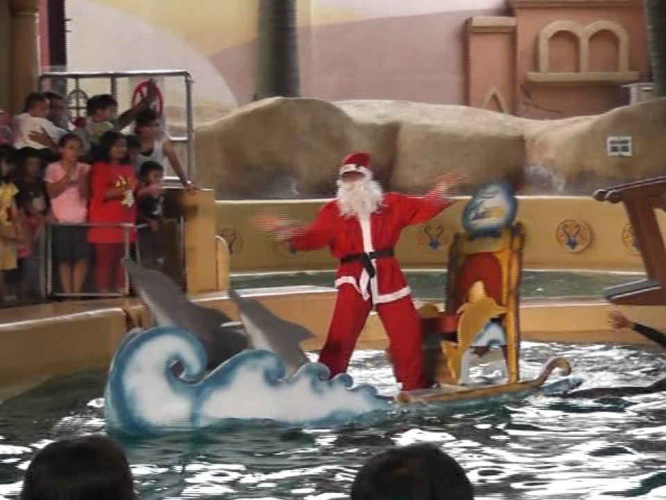 Dolphins Pull Santa's Sleigh in Indonesia - video Dailymotion