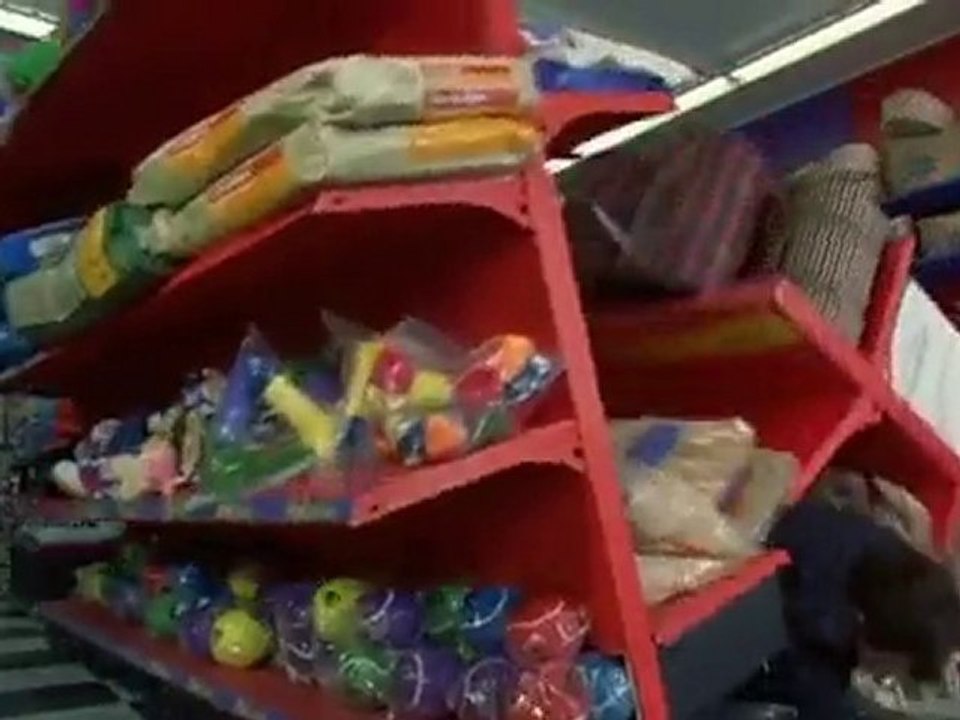 See Spot Run - Trailer - video Dailymotion