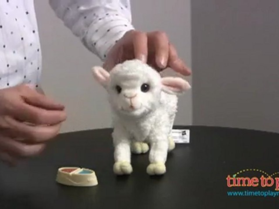 FurReal Friends Newborn Lamb from Hasbro - video Dailymotion