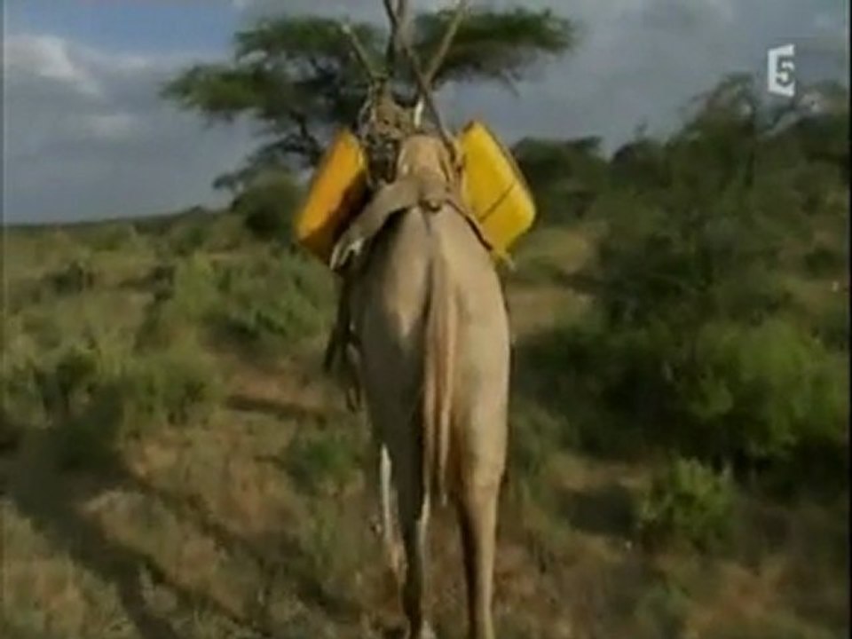 dans la bouche du diable. 1 - Vidéo Dailymotion