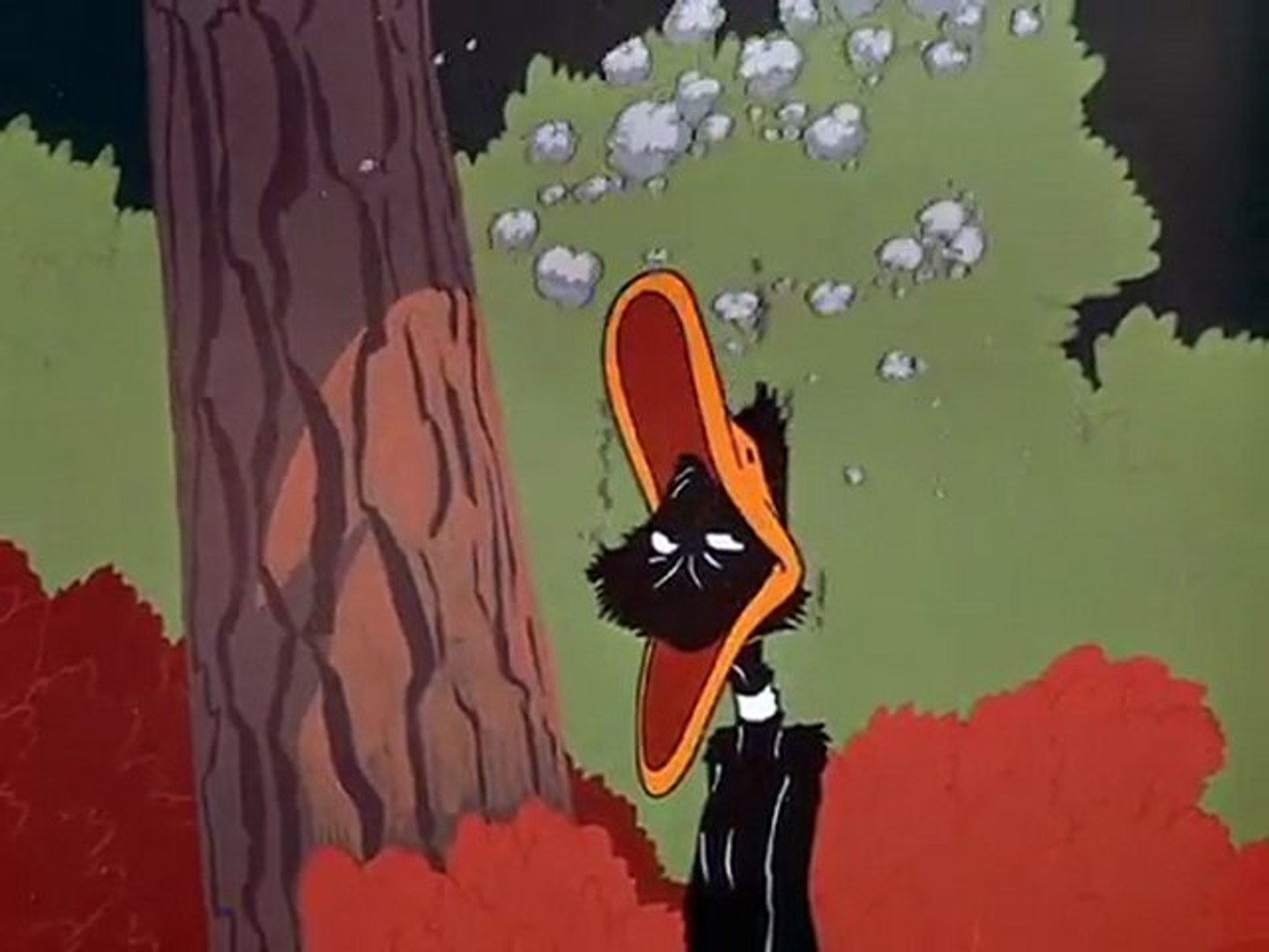 Daffy Duck And Bugs Bunny Rabbit Season