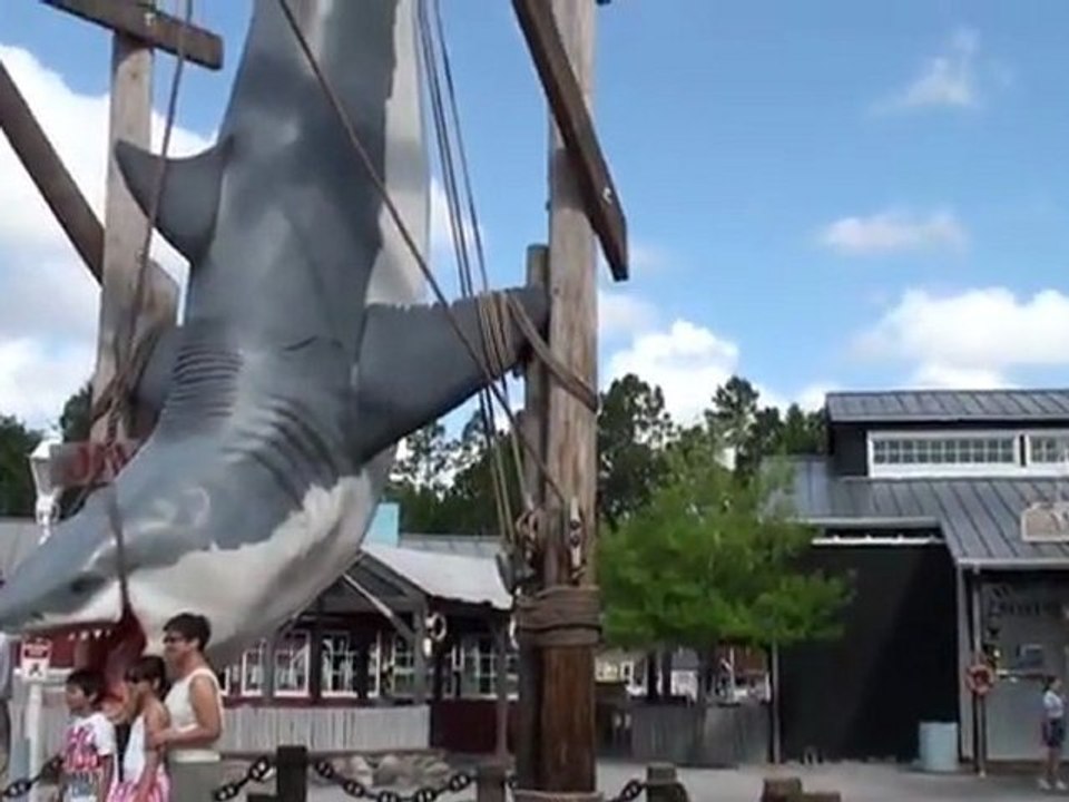 Jaws! Amity Island - THE RIDE - video Dailymotion