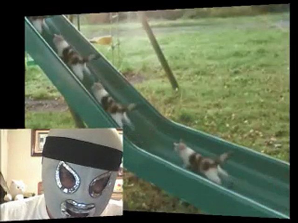 Blog del narco del martes 28 de junio de 2011 - Vídeo Dailymotion