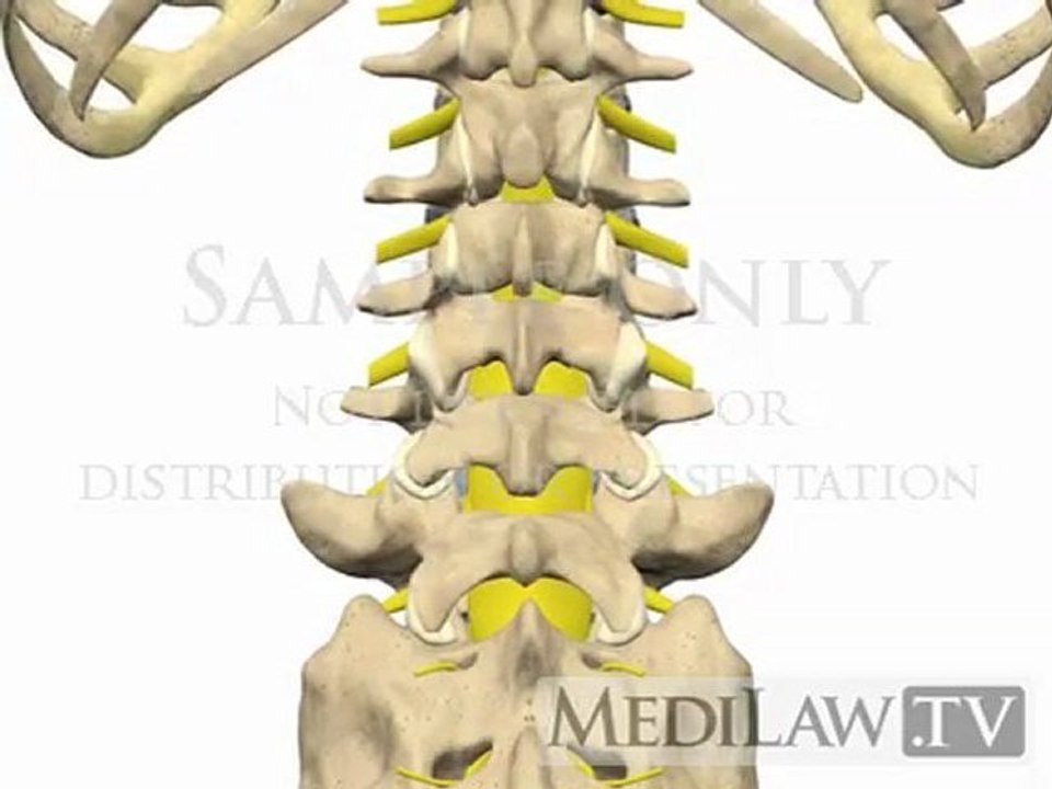 Lumbar Spine Movement Inter-vertebral Rotation chiropractry animations ...