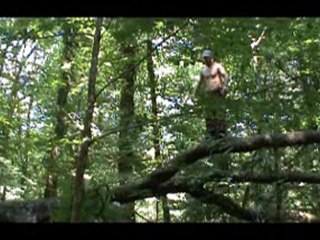 Vidéos de Yann André Artiste Autodidacte... - Dailymotion