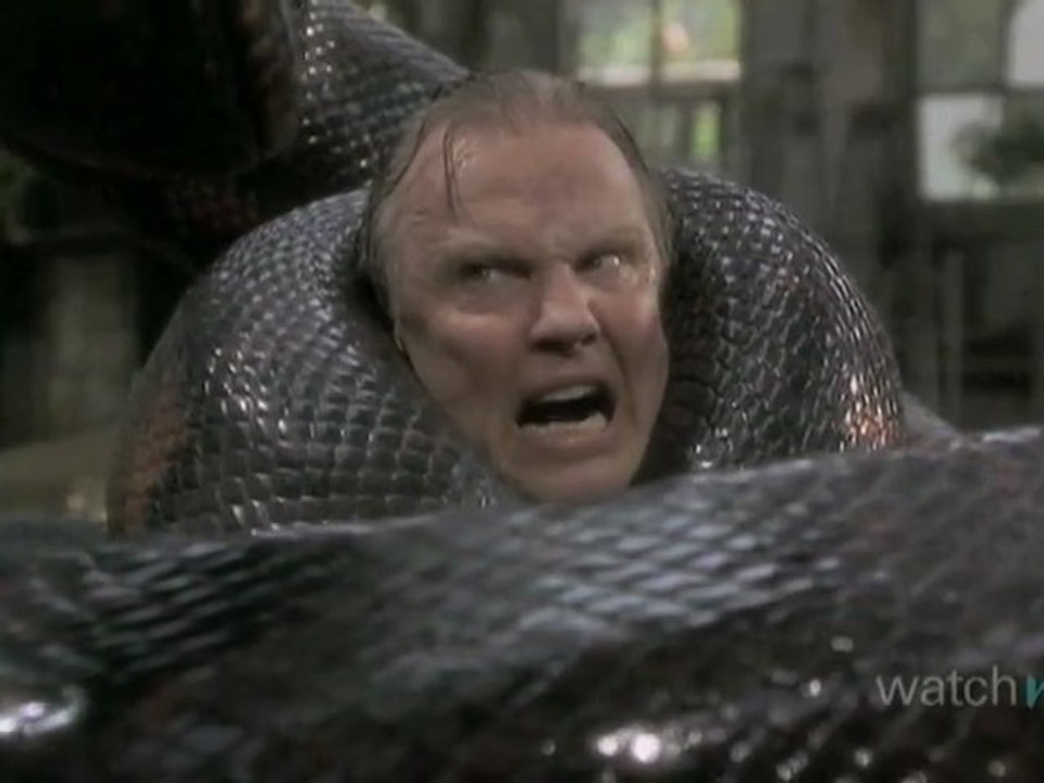 Top 10: Horror Movie Animals - video Dailymotion