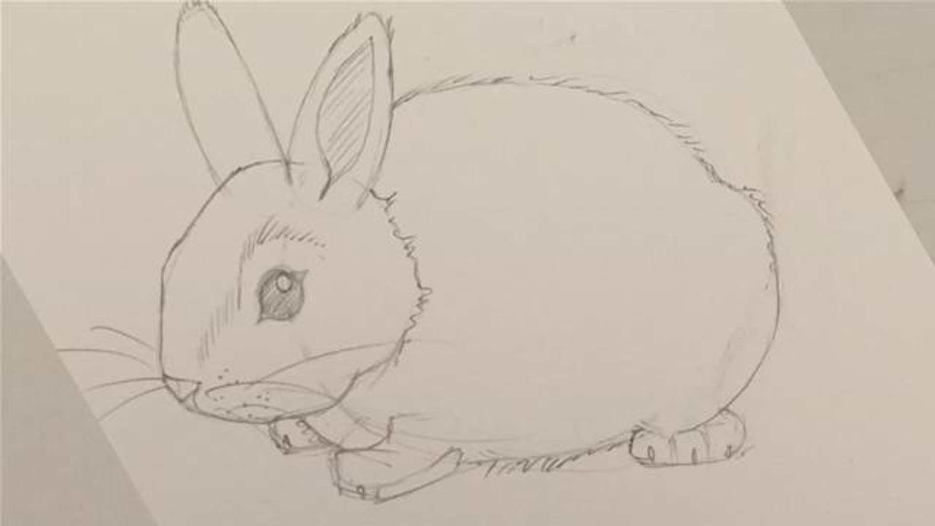 How To Draw A Realistic Rabbit