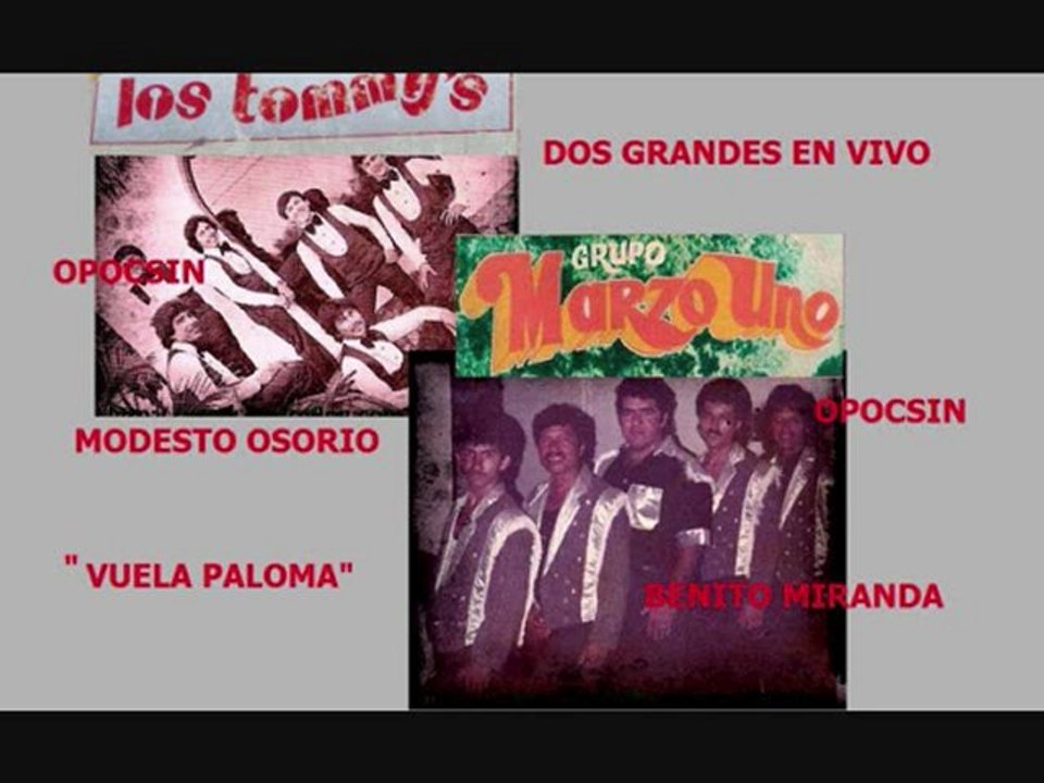 MODESTO OSORIO Y BENITO MIRANDA Vuela paloma EN VIVO!! - Vídeo Dailymotion
