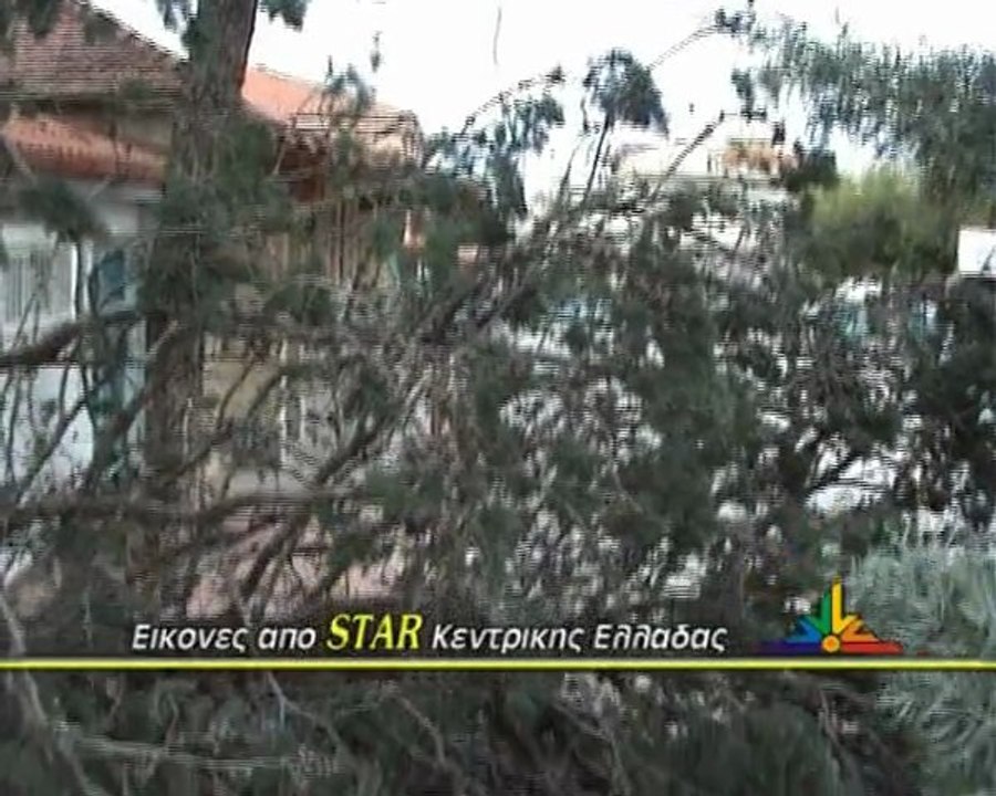 ΠΤΩΣΗ ΔΕΝΤΡΟΥ ΣΕ ΠΡΟΑΥΛΙΟ ΣΧΟΛΕΙΟΥ - video Dailymotion