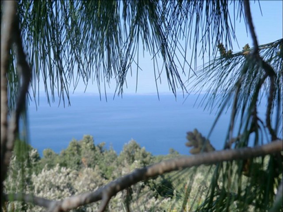 ΑΝ ΘΑ ΜΠΟΡΟΥΣA ΤΟΝ ΚΟΣΜΟ ΝΑ ΑΛΛΑΖΑ (ελληνικά / γαλλικά) / AN THA ...