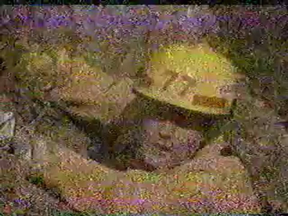 1999 WBNX WB 55 Rescue 77 Trailer - video Dailymotion