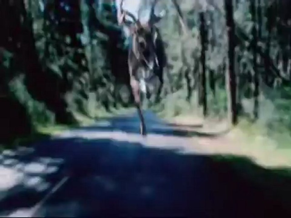 The Ring 2 - Full - video Dailymotion