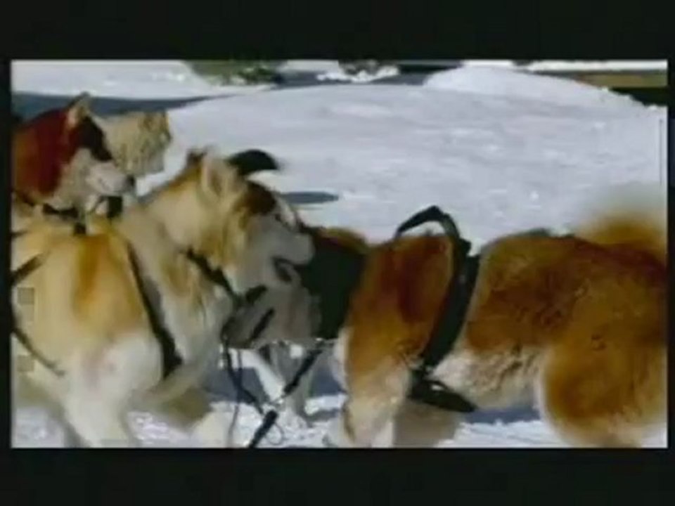 Snow Dogs - Film Clip 5 - video Dailymotion