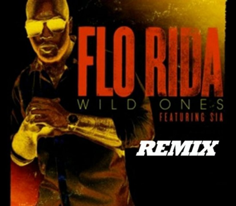 Flo Rida - Wild Ones ft. Sia (Official Remix) - Video Dailymotion